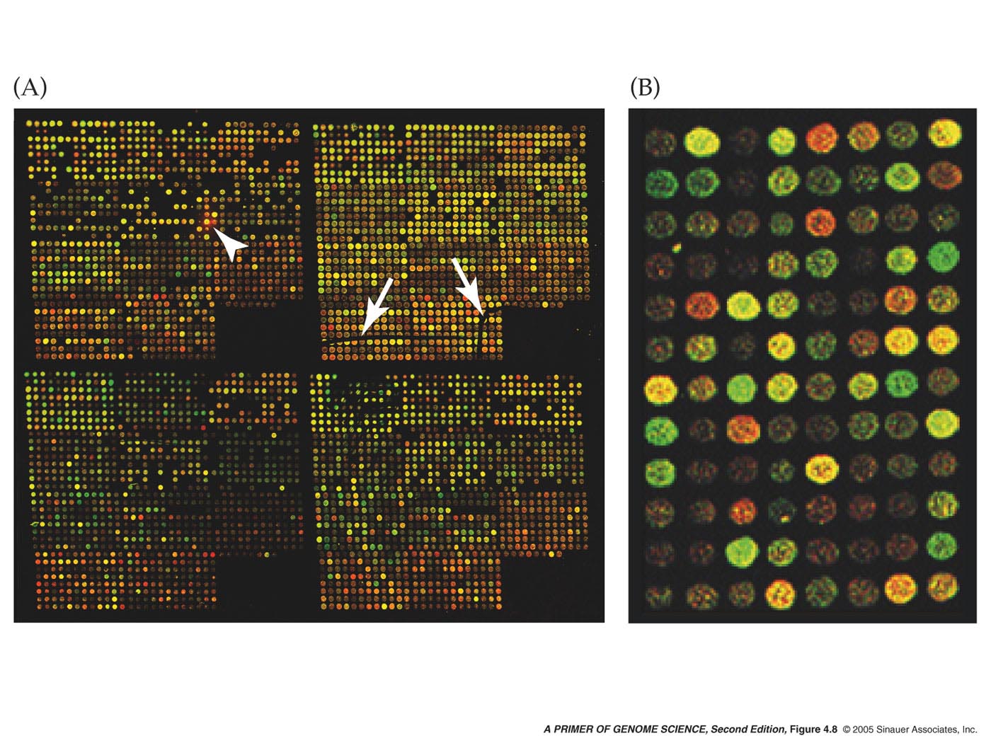 visualization_4241_kd