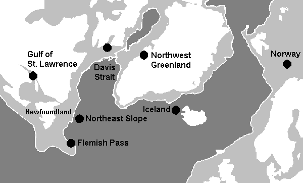 Distribution of Greenland Halibut