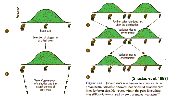 Natural Selection in the Wild