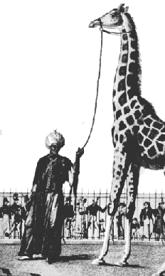 Zoological Philosophy