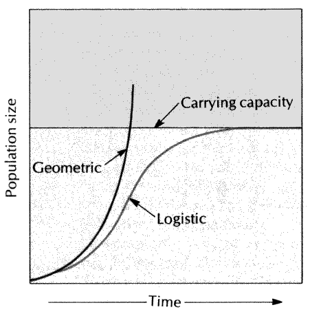 Logistic growth