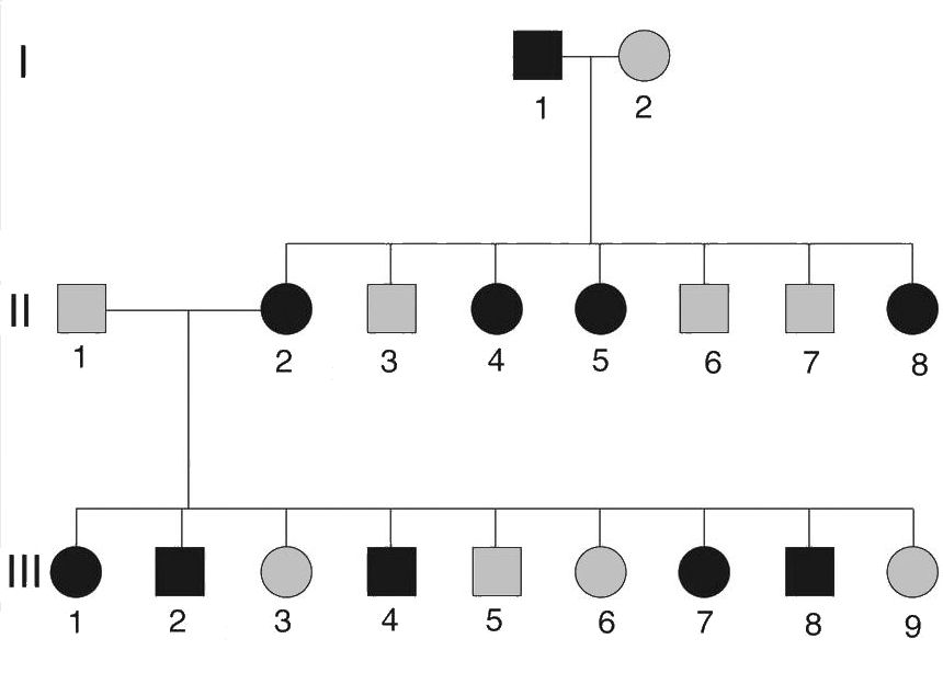 X Linked Dominant Pedigree Genotypes X Linked Dominant Pedigree Genotypes