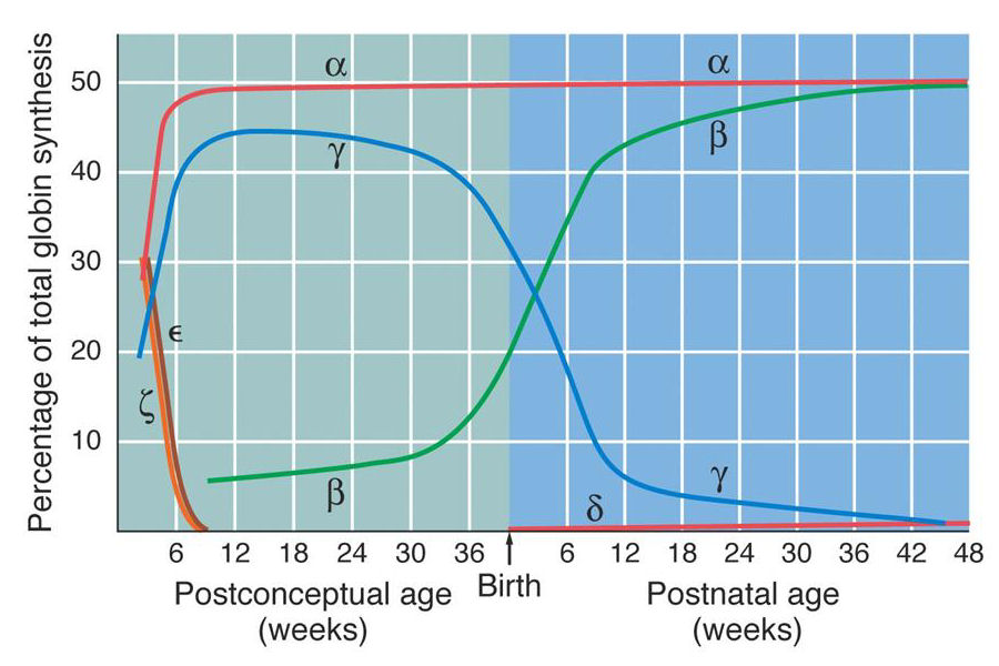 MGA2_globin_gene_shift