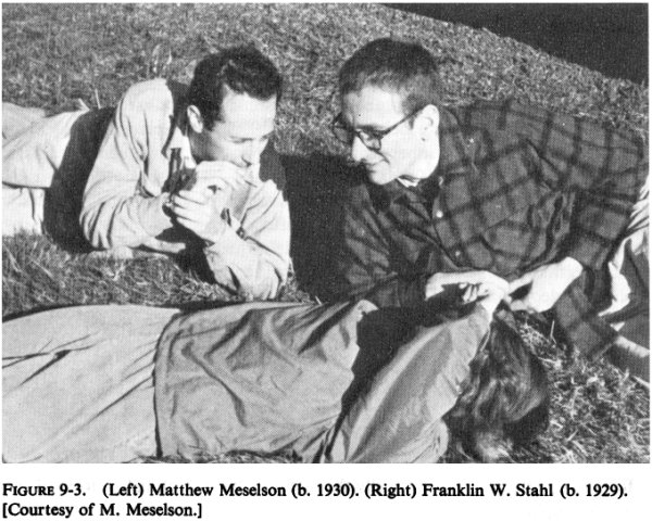 Meselson, Stahl, & Chase