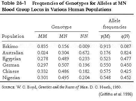 MN Bloodgroup frequencies