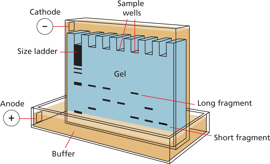 S&R Fig01.10