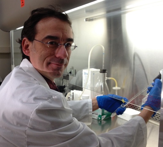 Faculty A-Z | Faculty of Medicine | Memorial University of Newfoundland