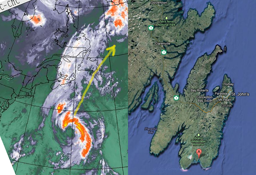 Jones - hurricane Leslie seabird images